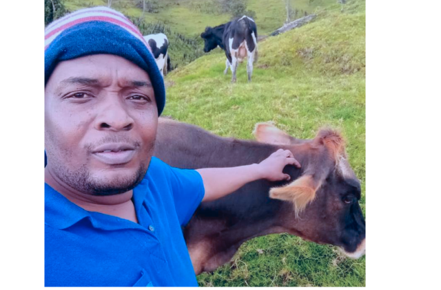 Patrick | International NGO Safety Organisation (INSO)